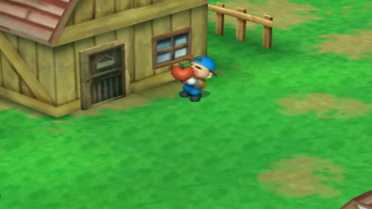 Cara Mendapatkan Power Berry di Harvest Moon: Back to Nature - IndoGamers